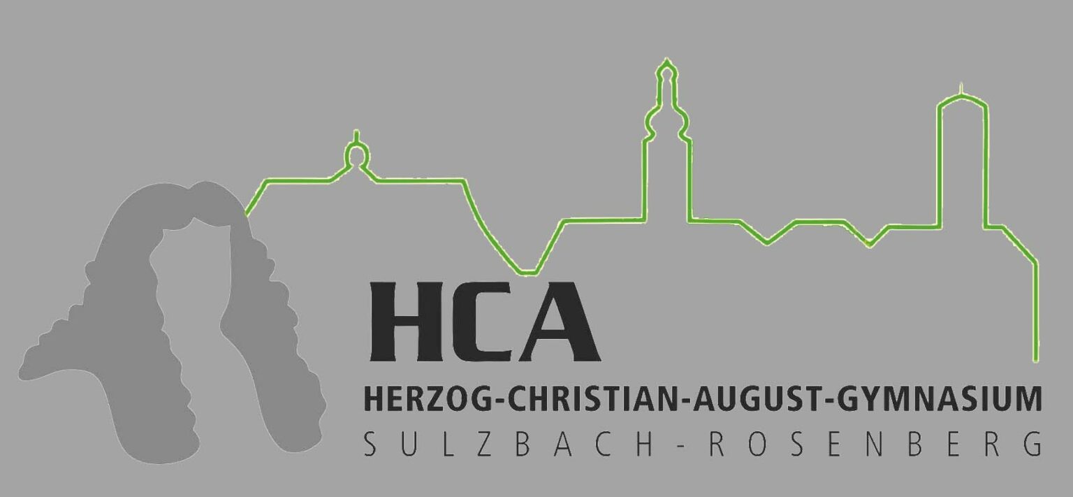 Junge Mathe-Talente bei der Mathematik-Olympiade | Herzog-Christian ...